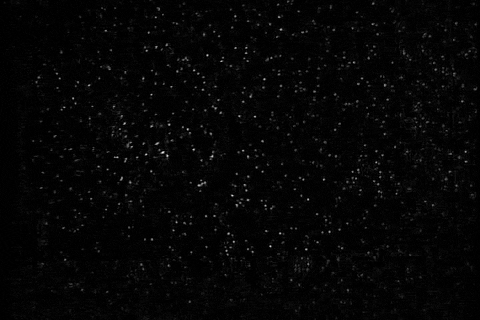 Static GIFs - Find & Share on GIPHY