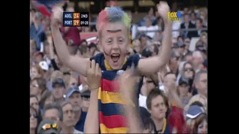 Afl Memories GIF by Adelaide Crows - Find & Share on GIPHY