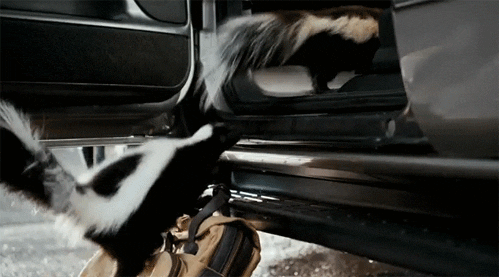 Repeating Image GIFs - Find & Share on GIPHY