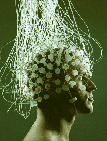 Brain GIFs - Find & Share on GIPHY