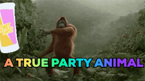 Party Drink GIF by Zhot Shotz - Find & Share on GIPHY