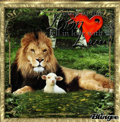 Spring Lamb Graphics Gif Animated