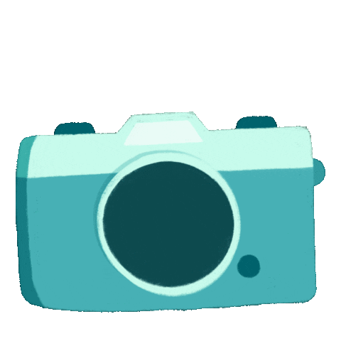 Flashing Photo Shoot Sticker for iOS & Android | GIPHY
