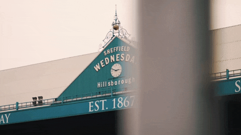 Stadium S6 GIF by Sheffield Wednesday Football Club - Find & Share on GIPHY