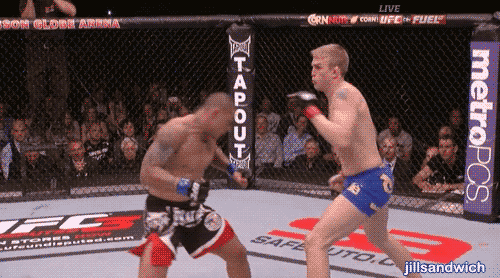 Ufc GIF - Find & Share on GIPHY