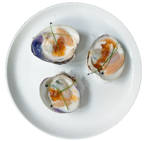 Food Oysters Sticker by foodbabyny for iOS & Android | GIPHY