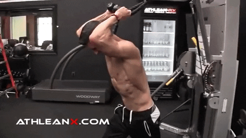 The PERFECT Triceps Workout | ATHLEAN-X