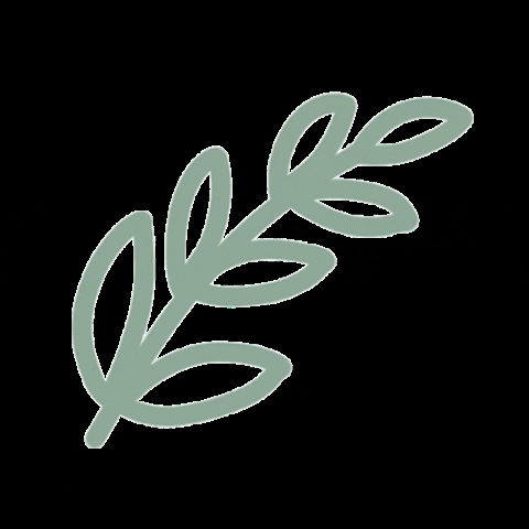 Plant Leaf GIF - Find & Share on GIPHY