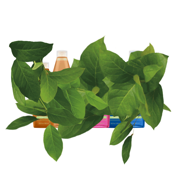 Redken 5th Avenue GIFs - Find & Share on GIPHY