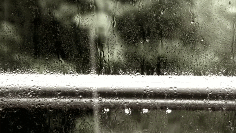 Rainy Window GIF - Find & Share on GIPHY