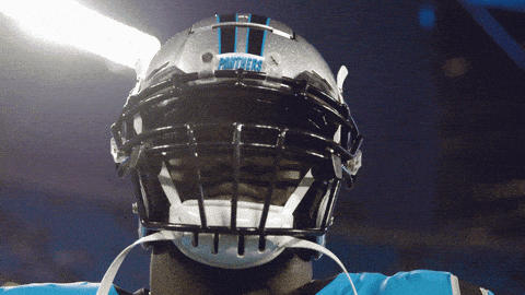 Nfl GIF by Carolina Panthers - Find & Share on GIPHY