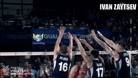 Volleyball Block GIF by CustomVolley - Find & Share on GIPHY