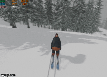 GitHub - Ersho/Autonomous-Skiing: Experiment on simulator for Autonomous skiing