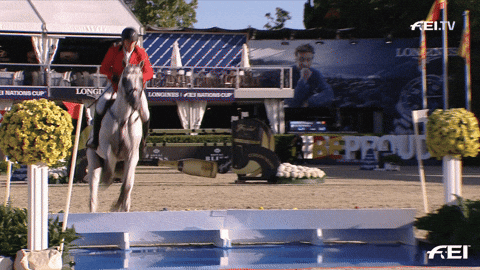Sport Jump Over GIF by FEI Global - Find & Share on GIPHY