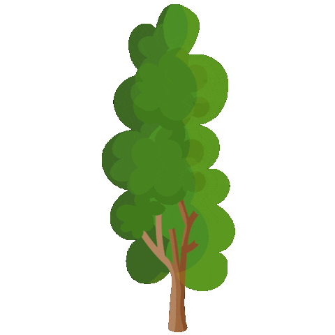 Fir Tree Sticker by Kew Gardens for iOS & Android | GIPHY