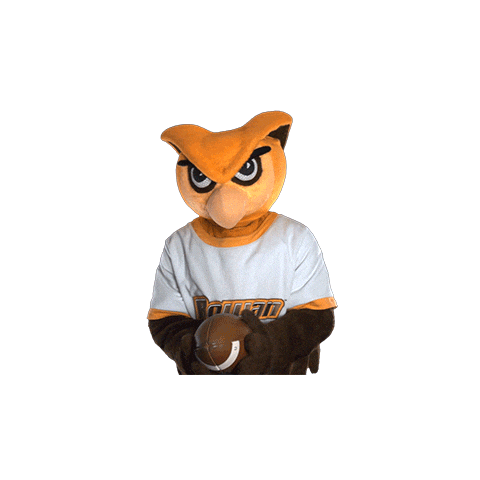 Ncaa Mascot Sticker by Rowan University for iOS & Android | GIPHY