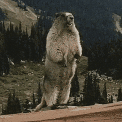 Scream Call GIF by THEOTHERCOLORS - Find & Share on GIPHY