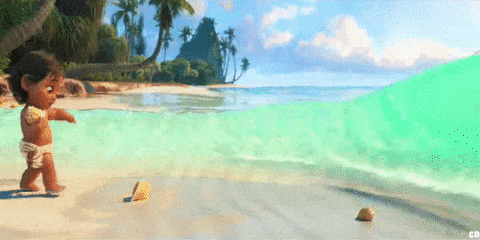 Maui Youre Welcome GIF - Find & Share on GIPHY