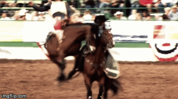 Rodeo GIF - Find & Share on GIPHY