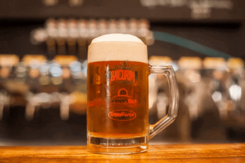 Cerveja Artesanal Mossoro GIF by Cerveja Bacurim - Find & Share on GIPHY