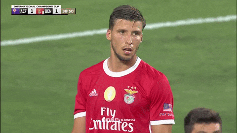 Sl Benfica Ruben GIF by Sport Lisboa e Benfica - Find & Share on GIPHY