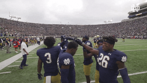 Notre Dame Defense GIF by Notre Dame Fighting Irish - Find & Share on GIPHY