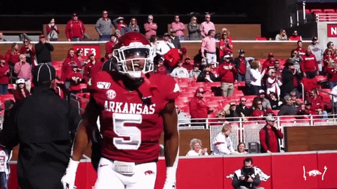 College Football GIF by Arkansas Razorbacks - Find & Share on GIPHY