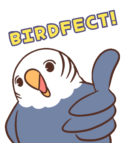 Wink Thumbs Up Sticker by A Budgie's Life for iOS & Android | GIPHY