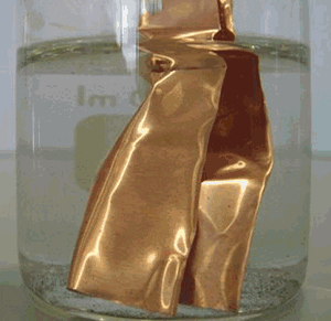 Copper GIF - Find & Share on GIPHY