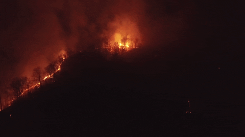 Fire GIF - Find & Share on GIPHY