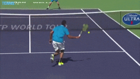 Tennis GIF - Find & Share on GIPHY