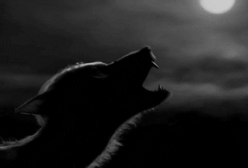 Werewolf GIF - Find & Share on GIPHY