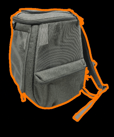 Yourcatbackpack GIF by Your Cat Backpack Travel Cat - Find & Share on GIPHY