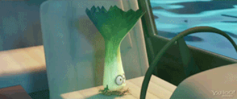 Leek GIFs - Find & Share on GIPHY