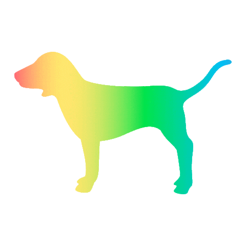 Dog Rainbow Sticker by Victoria's Secret PINK for iOS & Android | GIPHY