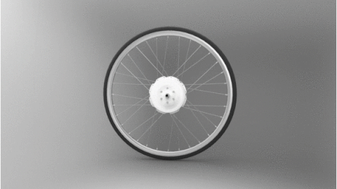 Wheel GIFs - Find & Share on GIPHY