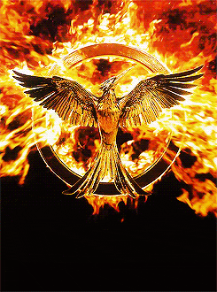 Mockingjay Part 2 Need GIF - Find & Share on GIPHY