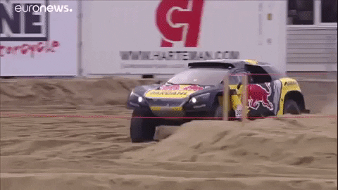Buggy Loeb GIF by euronews - Find & Share on GIPHY