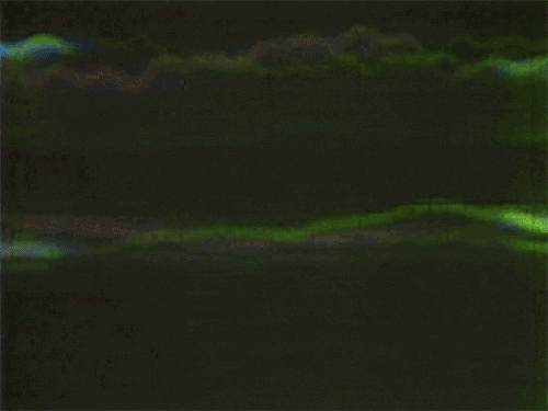 Vhs Technology GIF by rotomangler - Find & Share on GIPHY