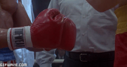 Rocky GIF - Find & Share on GIPHY