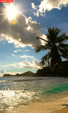 La Playa GIF - Find & Share on GIPHY