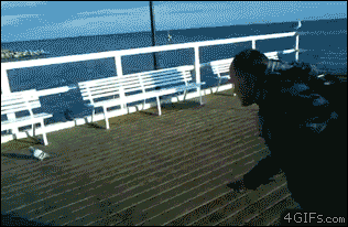 Bird Running GIF - Find & Share on GIPHY