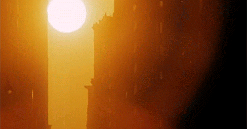 New York City GIF - Find & Share on GIPHY