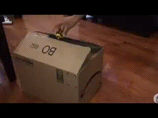 Box GIF - Find & Share on GIPHY