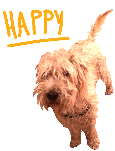 Happy Dog Sticker by Yellowbelly for iOS & Android | GIPHY