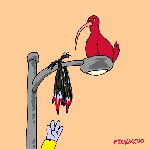 Fox Adhd GIF by Animation Domination High-Def - Find & Share on GIPHY