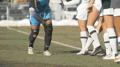 Csurams GIF by Colorado State Rams - Find & Share on GIPHY