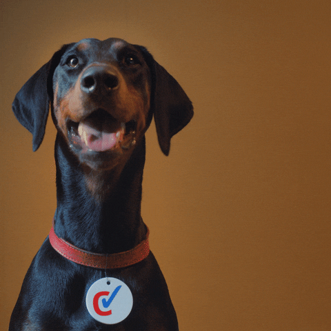 Dog Tick GIF by Checkatrade.com - Find & Share on GIPHY