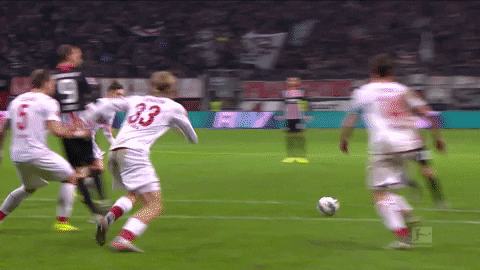 Save 1 Fc Cologne GIF by 1. FC Köln - Find & Share on GIPHY