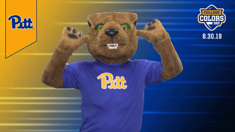 College Sports Mascots GIF by College Colors Day - Find & Share on GIPHY